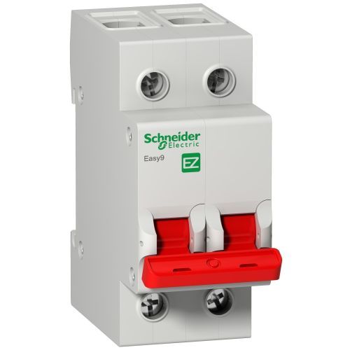 Schneider Easy 9 100A 400v Double Pole Isolator Switch - World Wide ...